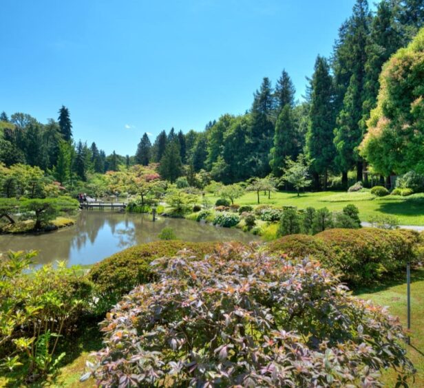 Belltown Inn | Best Hotels In Seattle Washington | Seattle Stays